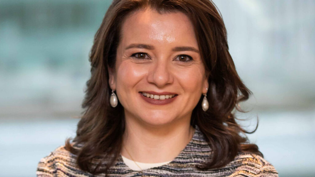 Zorlu Enerji'ye yeni CEO - MediaCat