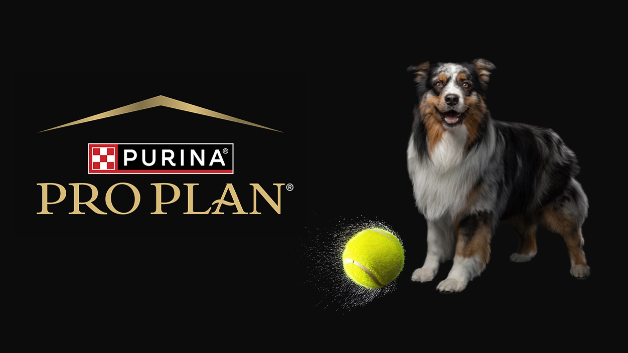 Pro Plan, ATP Tur’un resmi evcil hayvan beslenme ortağı oldu - MediaCat